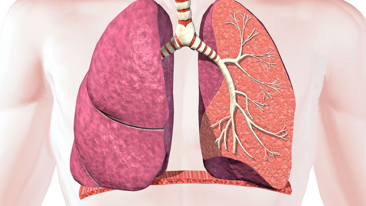 Leitlinie zur SARS-CoV-2 Prä-Expositionsprophylaxe erschienen