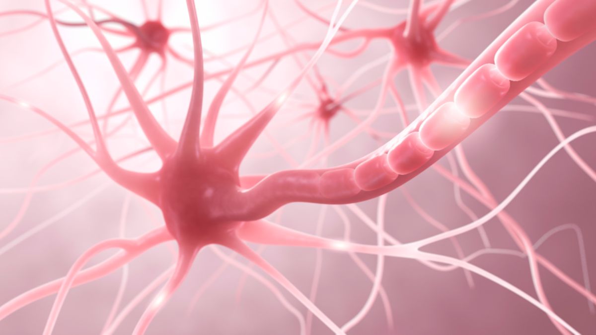 MS: Gute Langzeitwirkung und günstiges Sicherheitsprofil von Teriflunomid