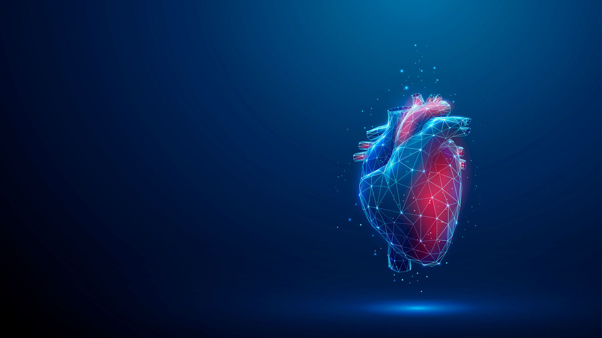 Myokarditis: Symptome, Diagnose und Therapie Myokarditis: Symptome, Diagnose und Therapie